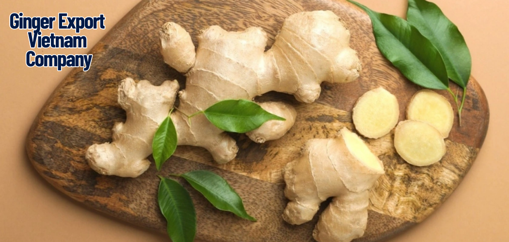 Premium Fresh Ginger from Vietnam – Trusted Exporter for Global Markets ...