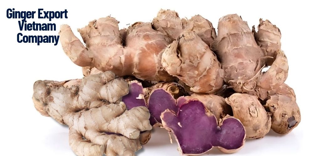 Global Ginger & Turmeric Market: Opportunities for Exporters - Ginger ...